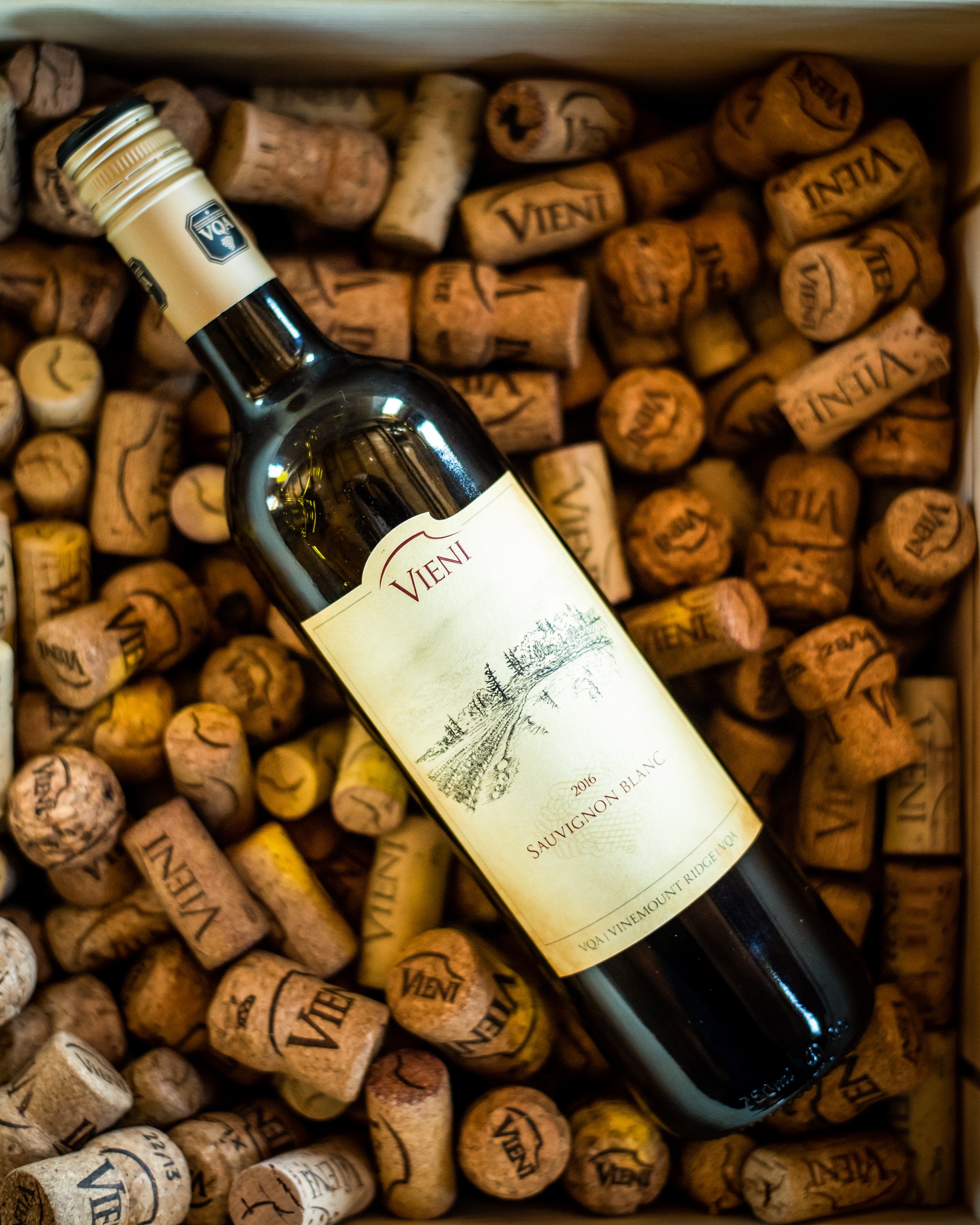 All Wines – Tagged "Dry"– Page 2 – Vieni Estates